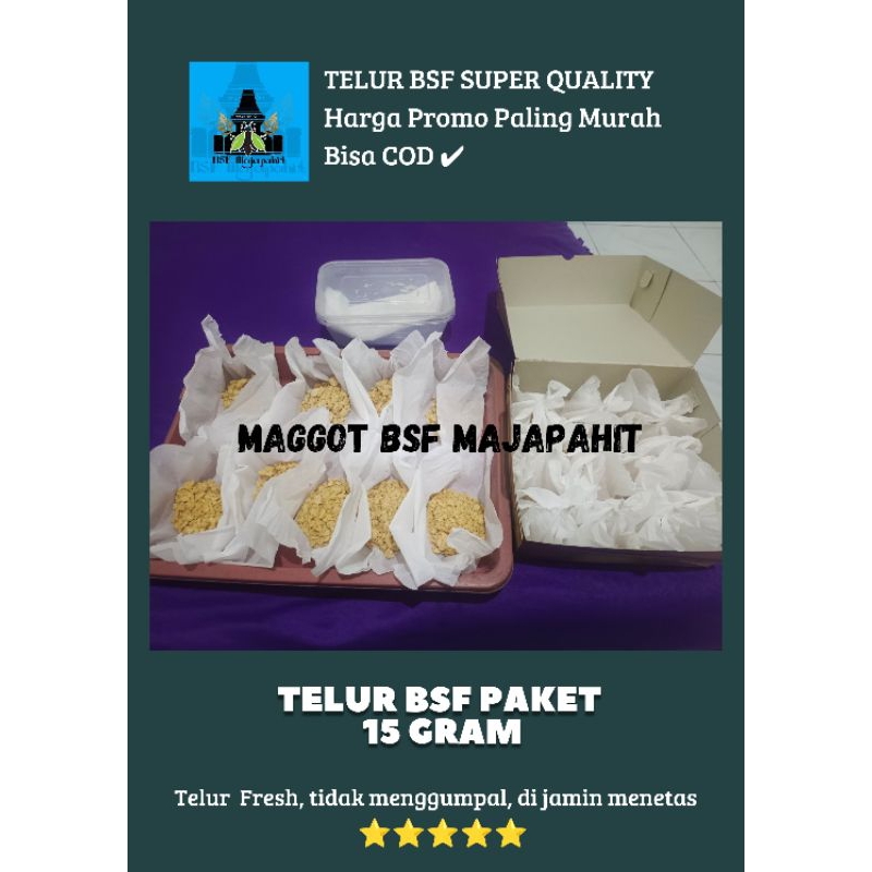Jual TELUR MAGGOT BSF PREMIUM QUALITY PAKET 15 GRAM | Shopee Indonesia