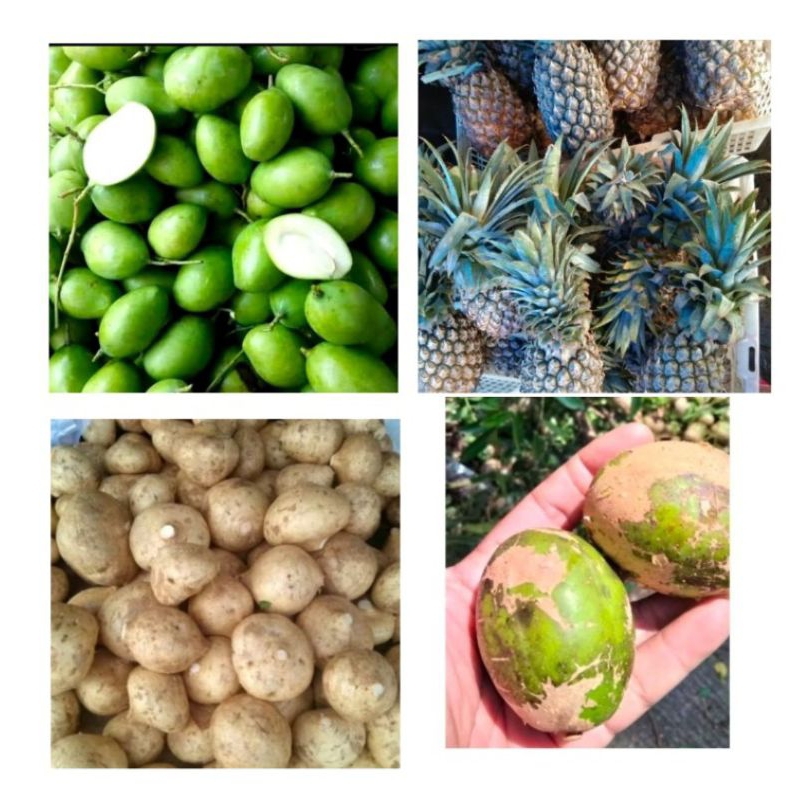 Jual RUJAK BUAH muda CAMPUR/MIX 1 KG | Shopee Indonesia