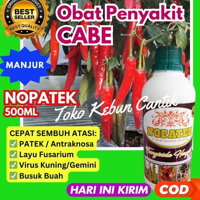 Jual NOPATEK Fungisida Hayati Obat Ampuh Penyakit Tanaman - Cairan ...