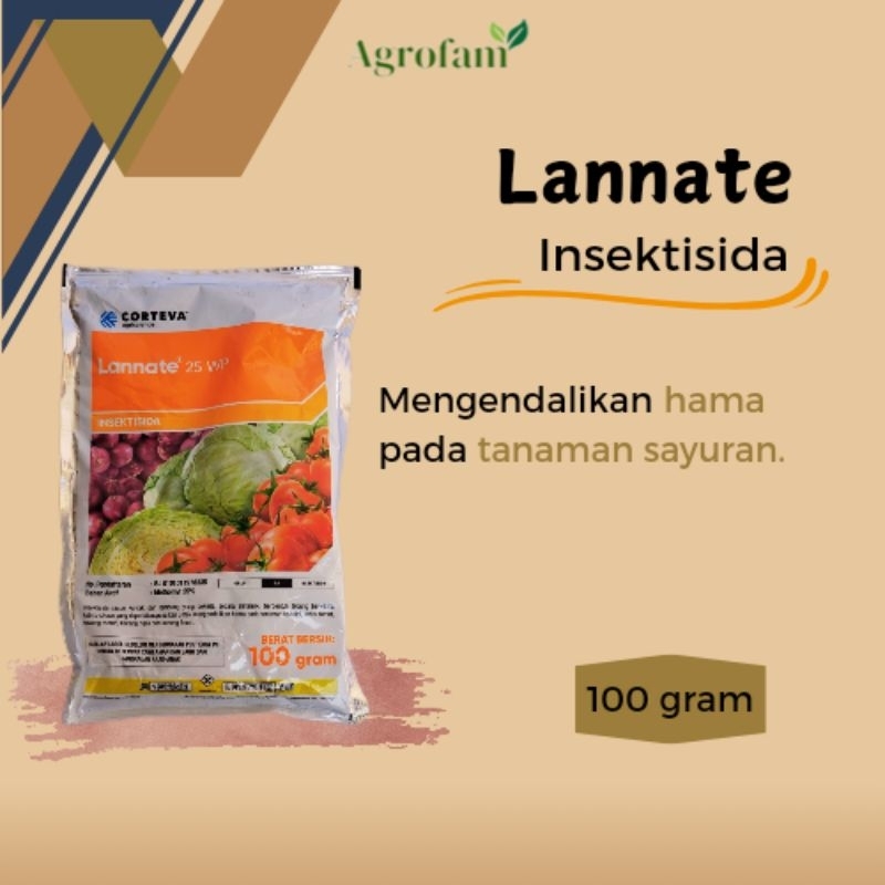 Jual Lannate insektisida 25 WP 100 gram | Shopee Indonesia