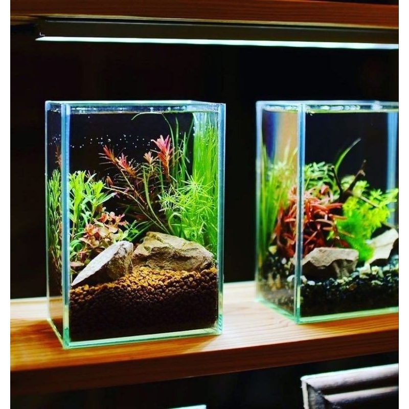 Jual MINI AQUARIUM/MINIRIUM/SOLITER CUPANG/AQUASCAPE MINI | Shopee ...