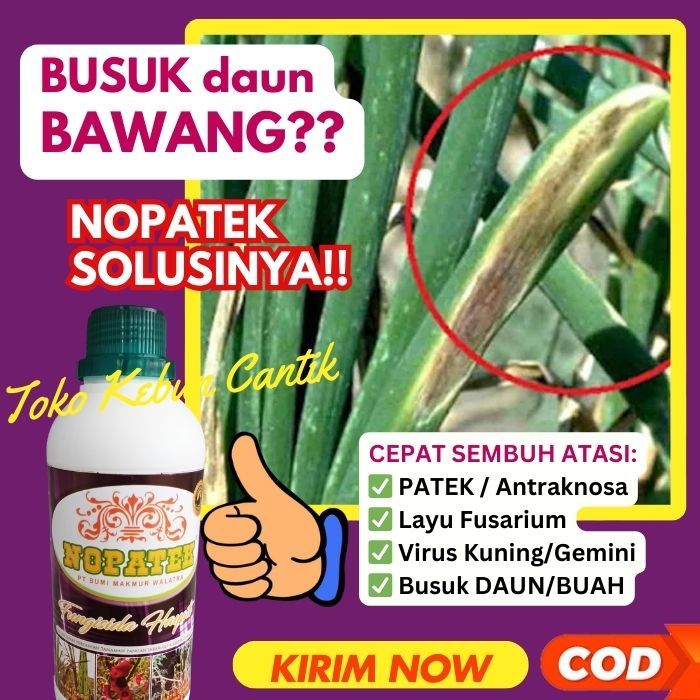 Jual 100% PRODUK ORI. Fungisida Hayati NOPATEK 500ML untuk basmi BUSUK ...