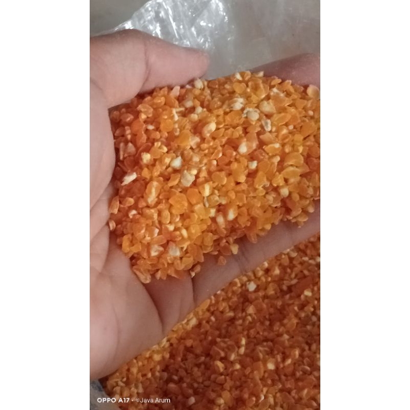 Jual Menir Jagung | Pakan Ternak | Jagung Giling Kemasan 1/2 KG ...