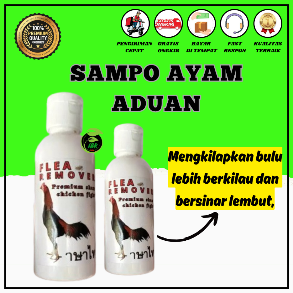 Jual SAMPO AYAM ADUAN AYAM HIAS BURUNG MERPATI ANTI KUTU SHAMPOO ...
