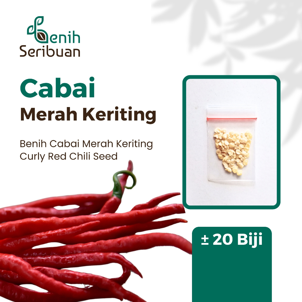 Jual Benih Seribuan - 20 Benih Cabe Merah Keriting Unggul | Shopee ...