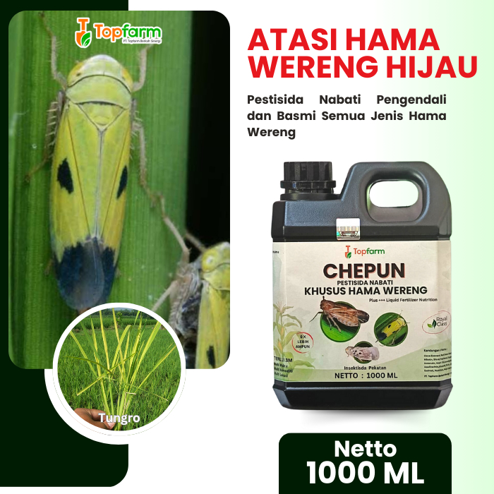 Jual Insektisida Topfarm / Obat Hama Wereng Hitam / Obat Hama Wereng ...