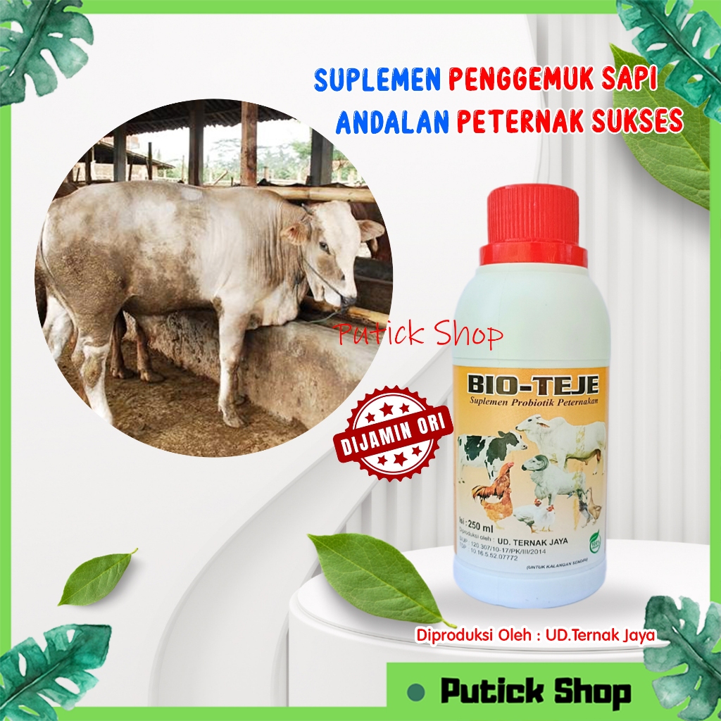 Jual Vitamin Sapi Agar Cepat Gemuk Probiotik Obat Penggemuk Sapi ...