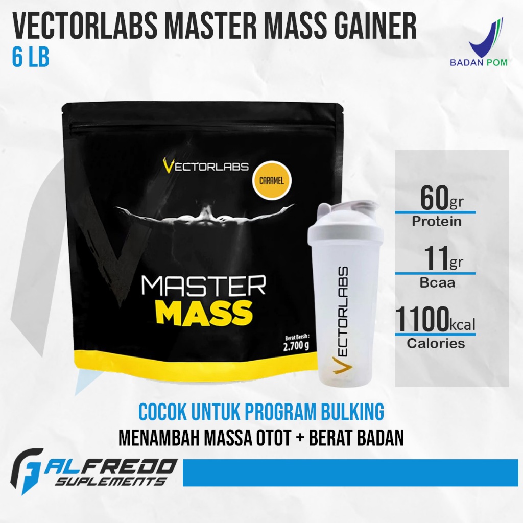 Jual Vectorlabs Master Mass Gainer 6 Lbs Susu Protein Weight Gain Susu ...