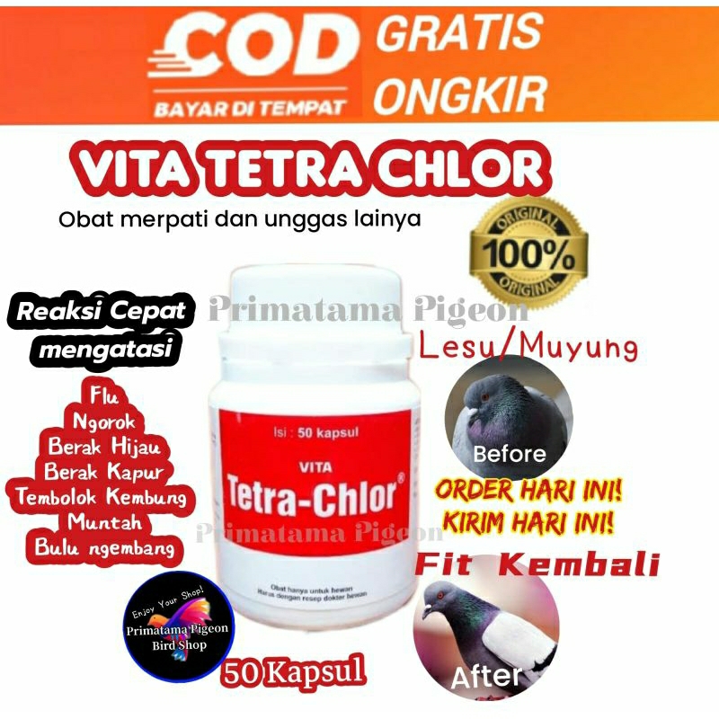 Jual TETRA CHLOR 50 Kapsul VITA TETRACHLOR VITAMIN OBAT BURUNG AYAM ...
