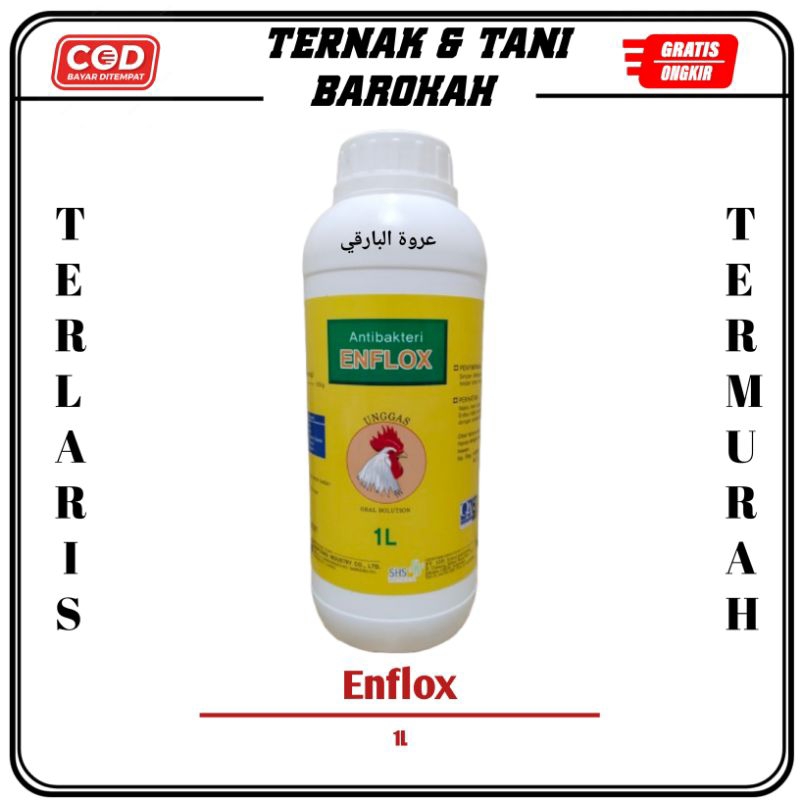 Jual Enflox anti bakteri 1 Liter 100% Original dan masih segel | Shopee ...