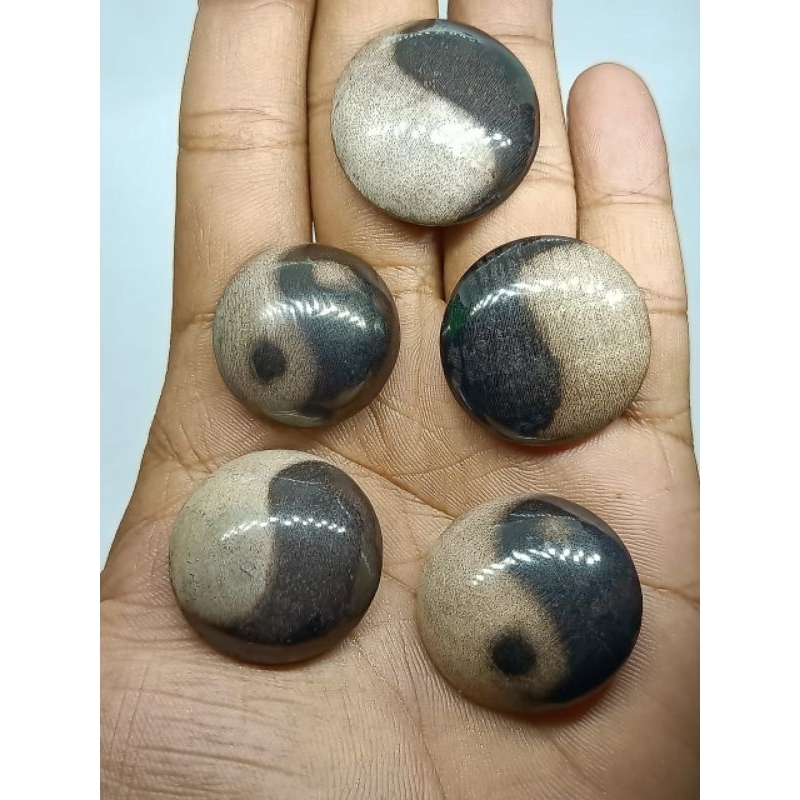 Jual Batu Posil Kelor Yin Yang , Natural | Shopee Indonesia