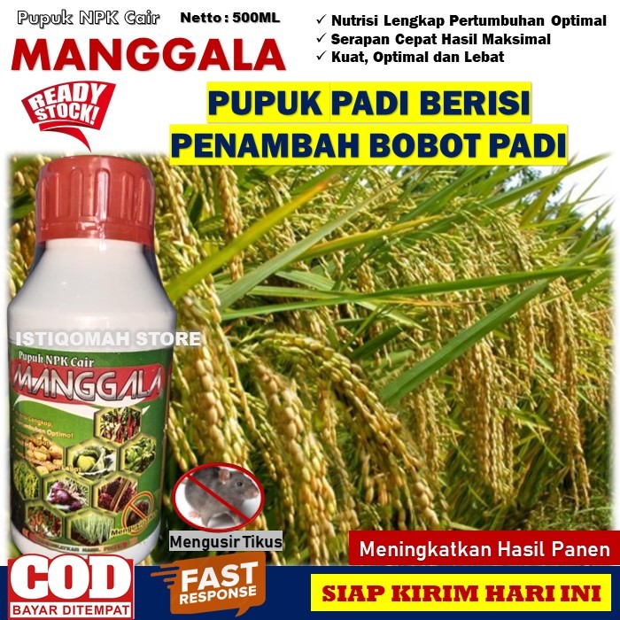 Jual Pupuk Padi Berisi Penambah Bobot Padi MANGGALA 500ML Obat Semprot Padi Cepat Panen dan ...