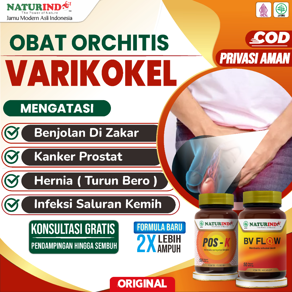 Jual Obat Varikokel Paling Ampuh Bengkak Benjolan Buah Zakar Nyeri ...