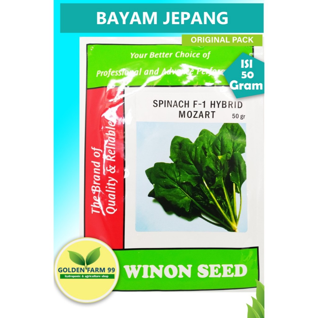 Jual Produk Ready Benih Bayam Jepang Spinach F1 Hibrida Mozart - Ori ...