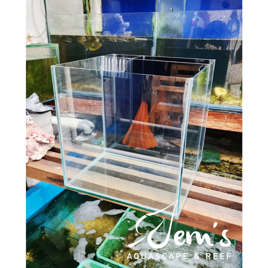 Jual Akuarium 40x40x40cm - 40cm Cube Sump Belakang | Shopee Indonesia