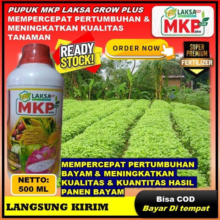 Jual Pupuk Organik Pelebat Tanaman Bayam Anti Rontok – Pupuk Paling Ampuh Penyubur Tanaman Bayam ...