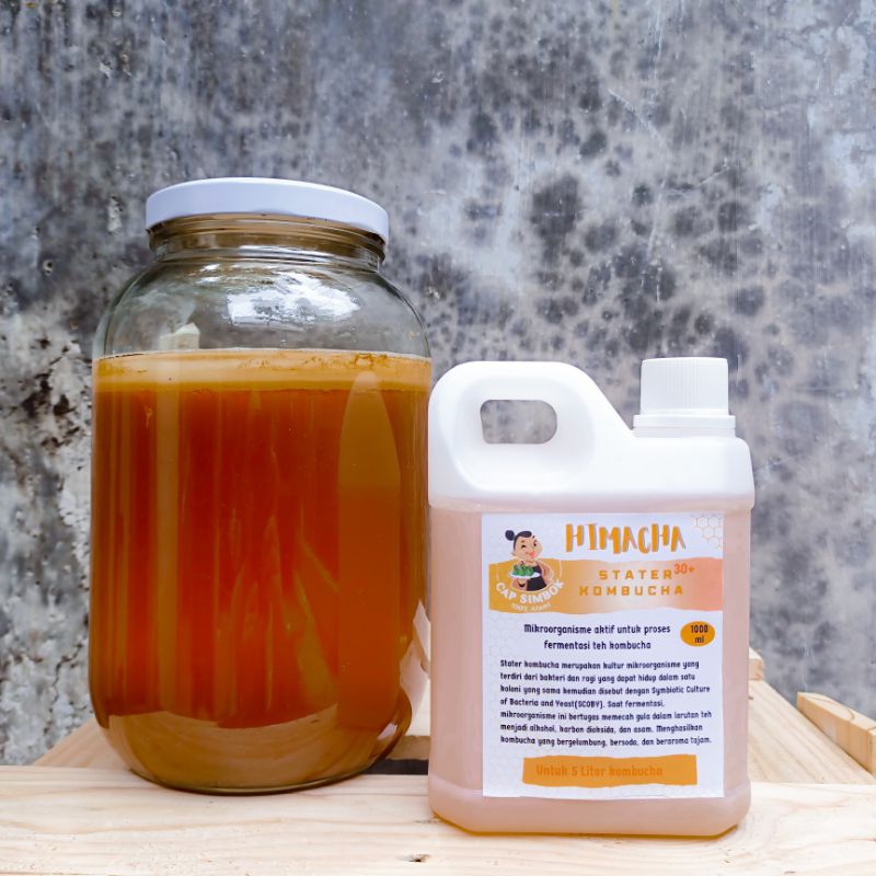 Jual Starter kombucha bahan untuk membuat kombucha usia tua (bibit ...