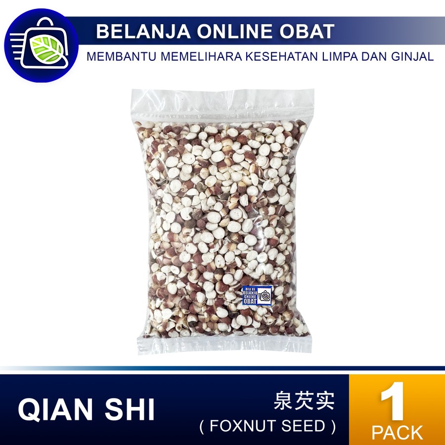 Jual FOXNUT SEEDS / QIAN SHI / Memelihara Kesehatan Limpa dan Ginja ...