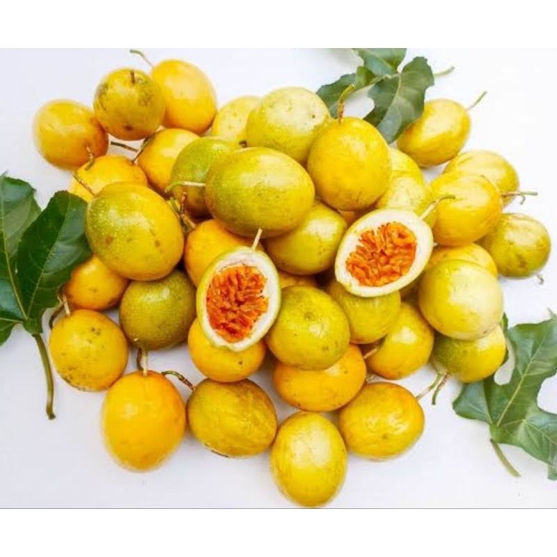 Jual buah markisa kuning segar 1kg petik ketika ada yang order | Shopee Indonesia