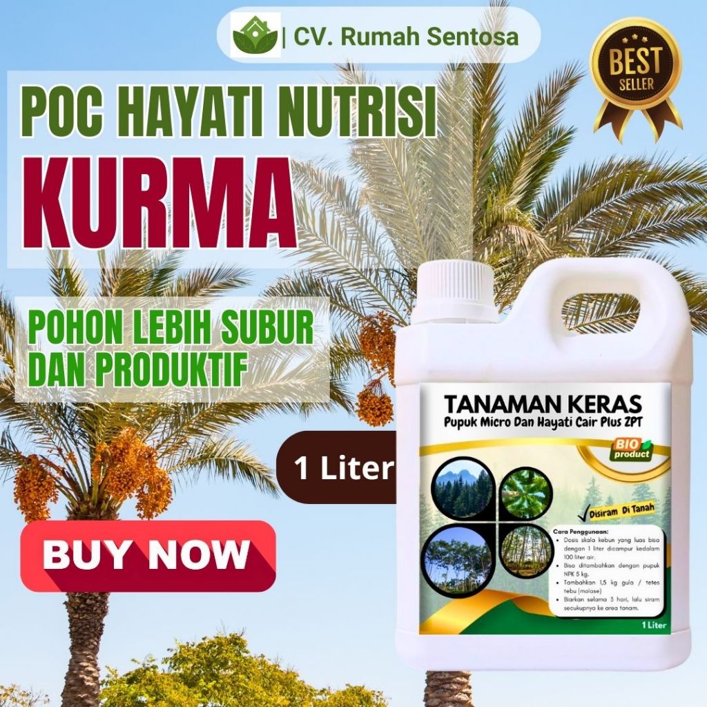 Jual Pupuk Pohon Kurma Cepat Berbuah Lebat Booster Organik Cair Untuk Tanaman Kurma Pelebat Buah ...