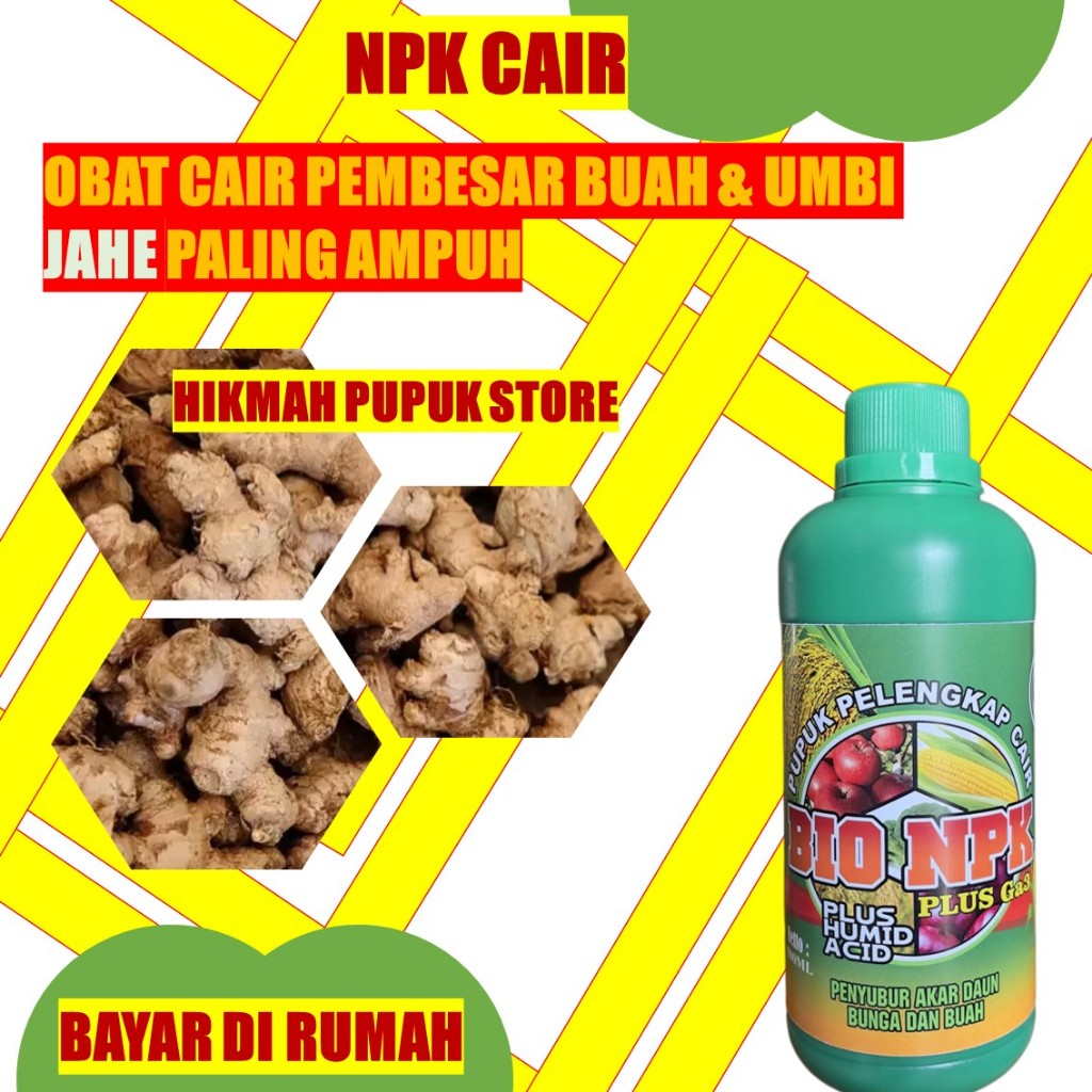 Jual Pupuk Cair Tanaman Jahe, Pupuk Jahe Agar Berbuah Cepat Memperbanyak Batang Bunga Dan Buah ...