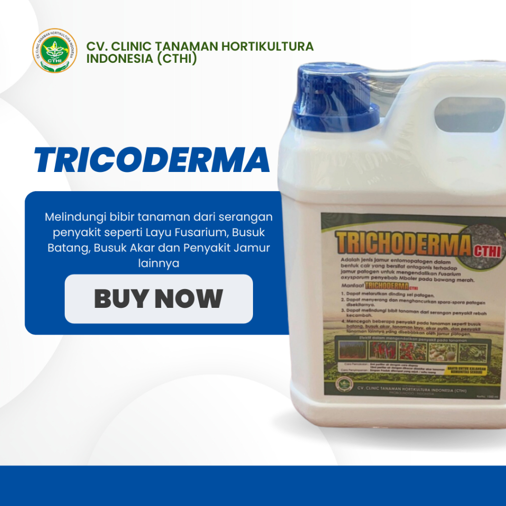 Jual Trichoderma CTHI Fungisida dan Bakterisida untuk Bibit dari ...