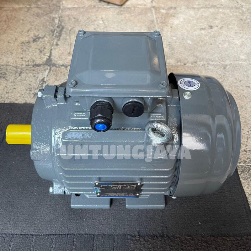 Jual DINAMO ELEKTRO MOTOR TECO 3 PHASE 2 HP 1,5 KW 2 POLE 3000 RPM / ELECTRIC MOTOR TECO AESV ...