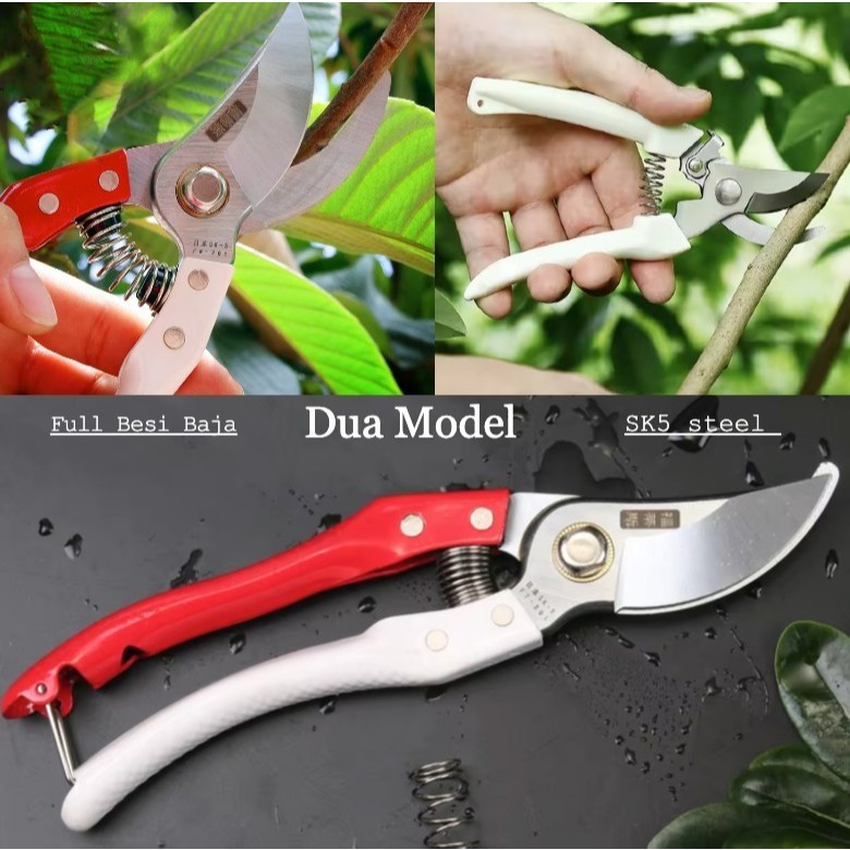 Jual Gunting Berkebun Pemotong Stek Pruning Pangkas Dahan Daun Bunga ...