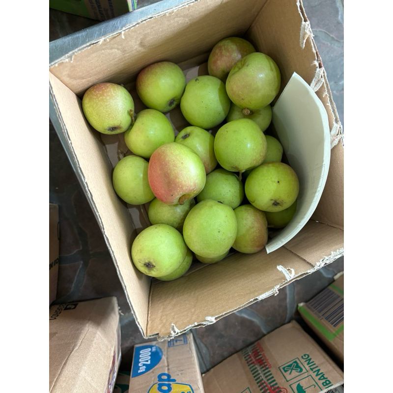 Jual Apel 1 Kg Terlengkap & Harga Terbaru April 2026 | Shopee Indonesia