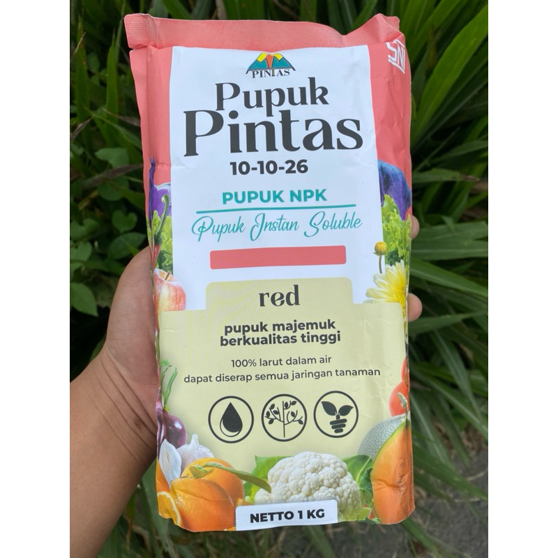 Jual PINTAS 1kg Pupuk Buah Lengkap | Shopee Indonesia