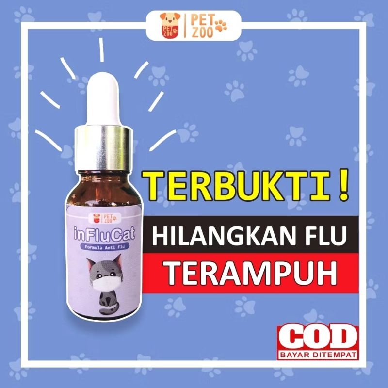Jual ( Influcat ) Obat Flu Kucing Paling Ampuh Obat Pilek Kucing Bersin ...
