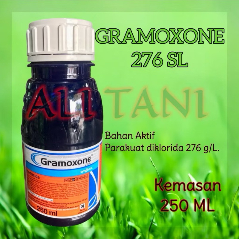 Jual Herbisida / Racun Rumput Kontak GRAMOXONE 276SL Kemasan 250 ML ...