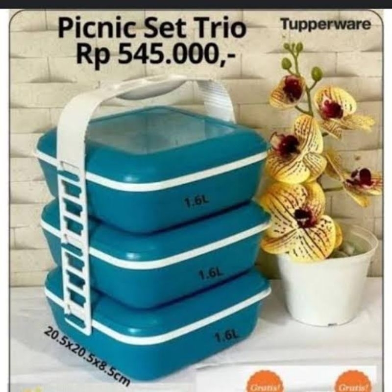 Jual Picnic set trio Tupperware | Shopee Indonesia