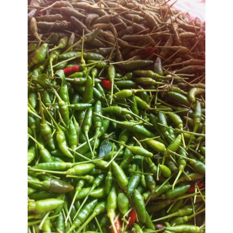 Jual cabe rawit gunung | Shopee Indonesia