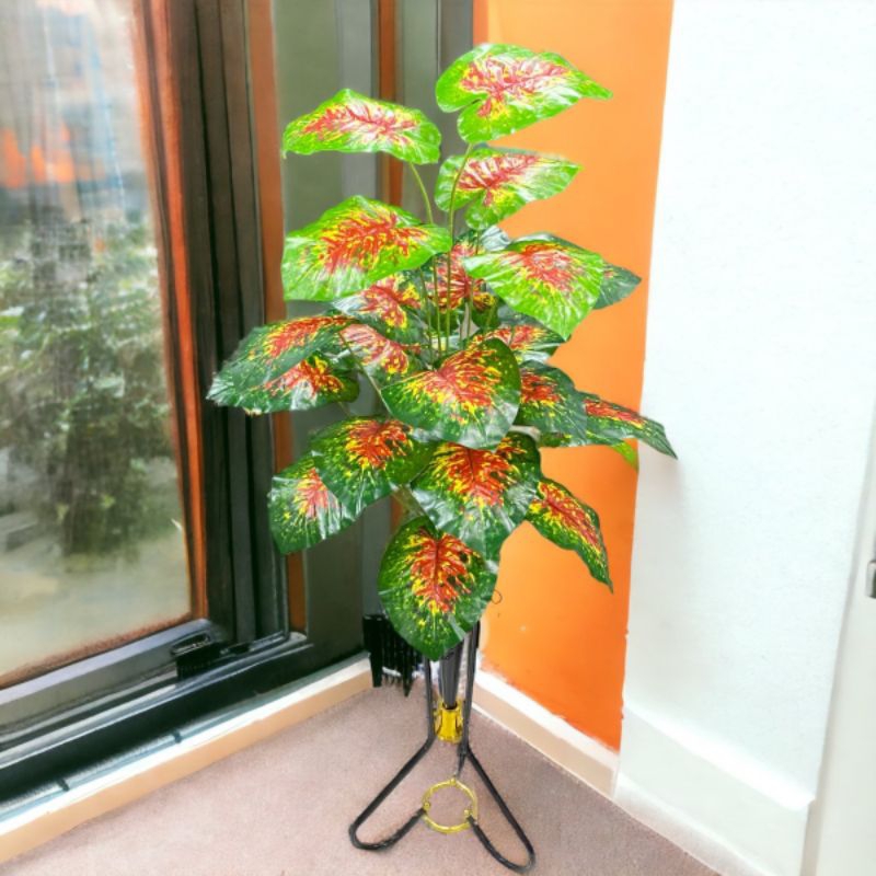 Jual Bunga pojok daun talas jumbo cabang 24 kuntum sudah termasuk pot ...