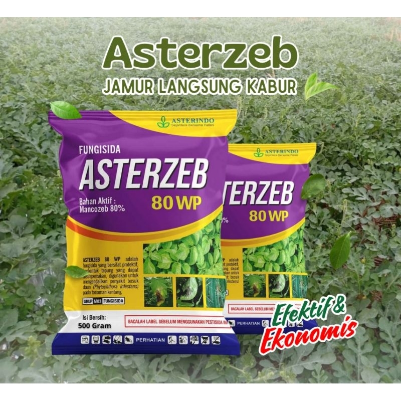 Jual FUNGISIDA ASTERZEB 80WP ORIGINAL 500 GRAM PENCEGAH BUSUK DAUN DAN ...