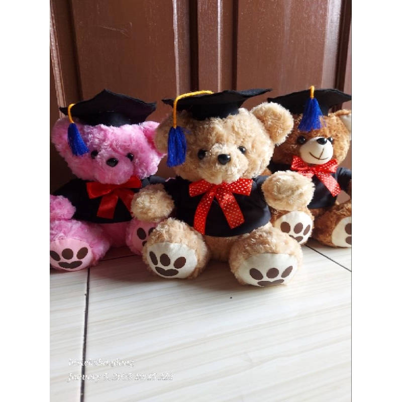 Jual boneka bandung boneka wisuda gemuk 30cm bulu classic | Shopee ...