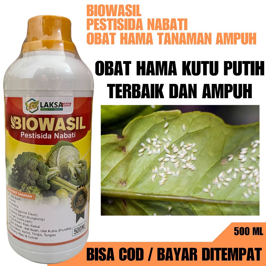Jual (TERLARIS) BIOWASIL OBAT UNTUK PENGENDALIAN KUTU PUTIH PADA ...
