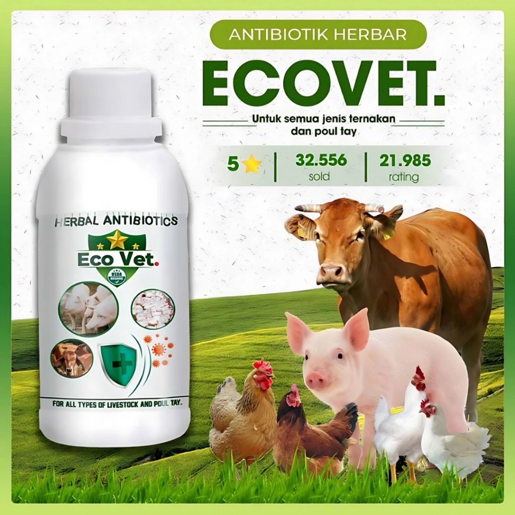 Jual ECOVET ECO VET 200 GRAM - Herbal Antibiotik Penggemuk untuk Sapi ...