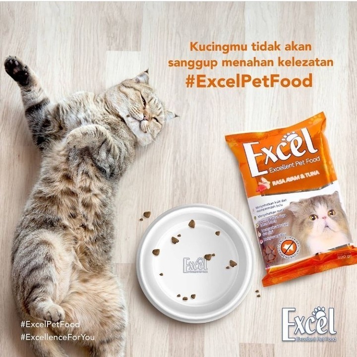 Jual ( 10 PCS ) Makanan Kucing Excel Segitiga Chicken & Tuna Flavour ...