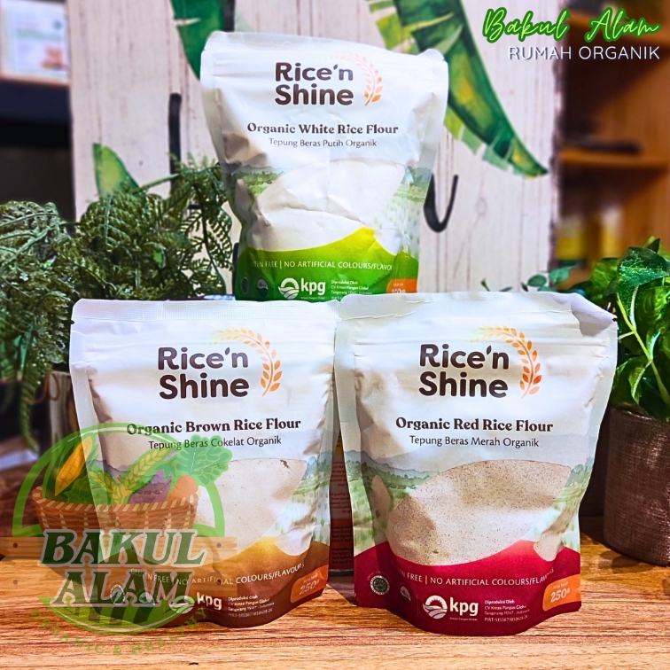 Jual Rice N Shine Organic Rice Flour (Tepung Beras Organik), 250 gr ...