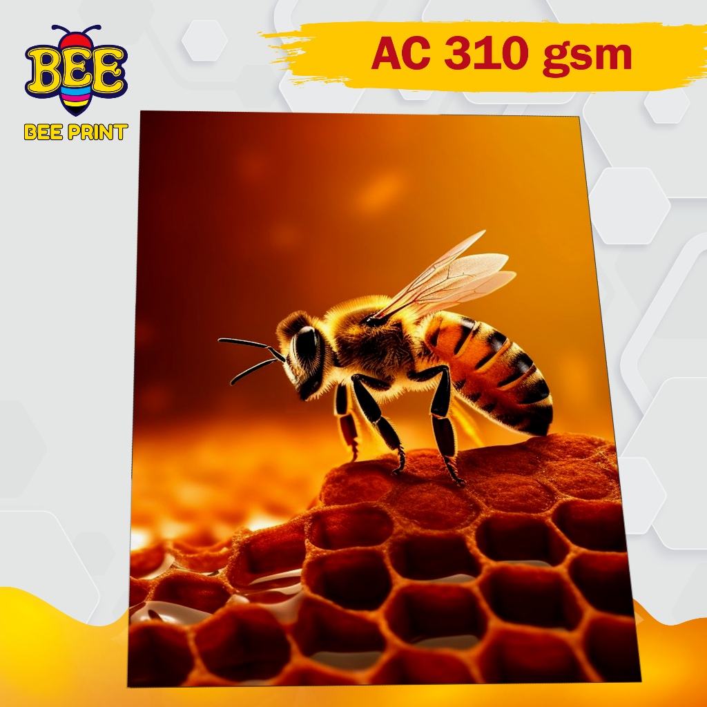 Jual CETAK A3+ FULL COLOR / CUSTOM PRINT A3+ / CETAK A3+ 1 SISI DAN 2 ...