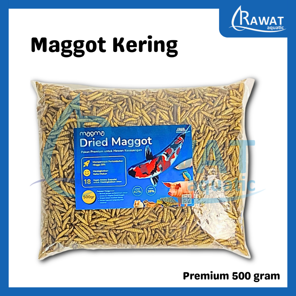 Jual Maggot Kering BSF Pakan Makanan Ikan Koi Channa Arwana Chana Dried ...