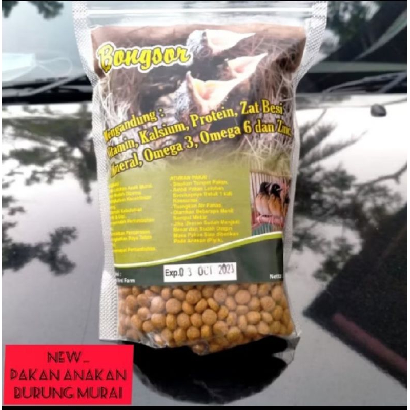 Jual BONGSOR PAKAN BURUNG ANAKAN MURAI | Shopee Indonesia