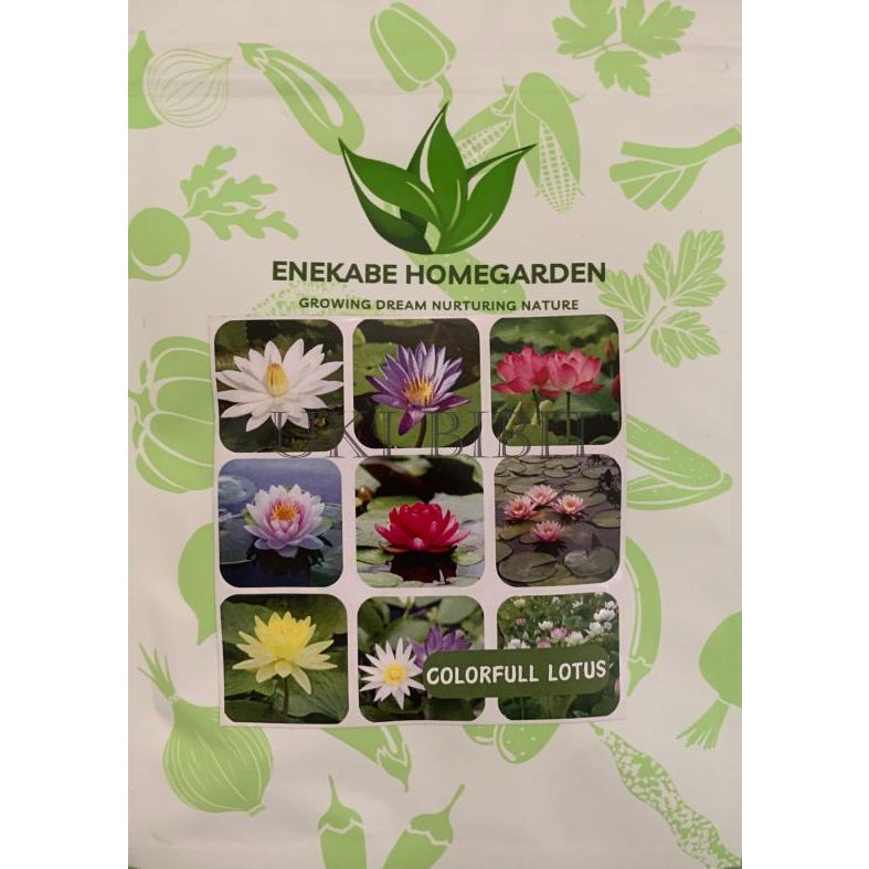 Jual Kemasan Original | Benih Biji Lotus Mix Color | Teratai Mix Colour ...