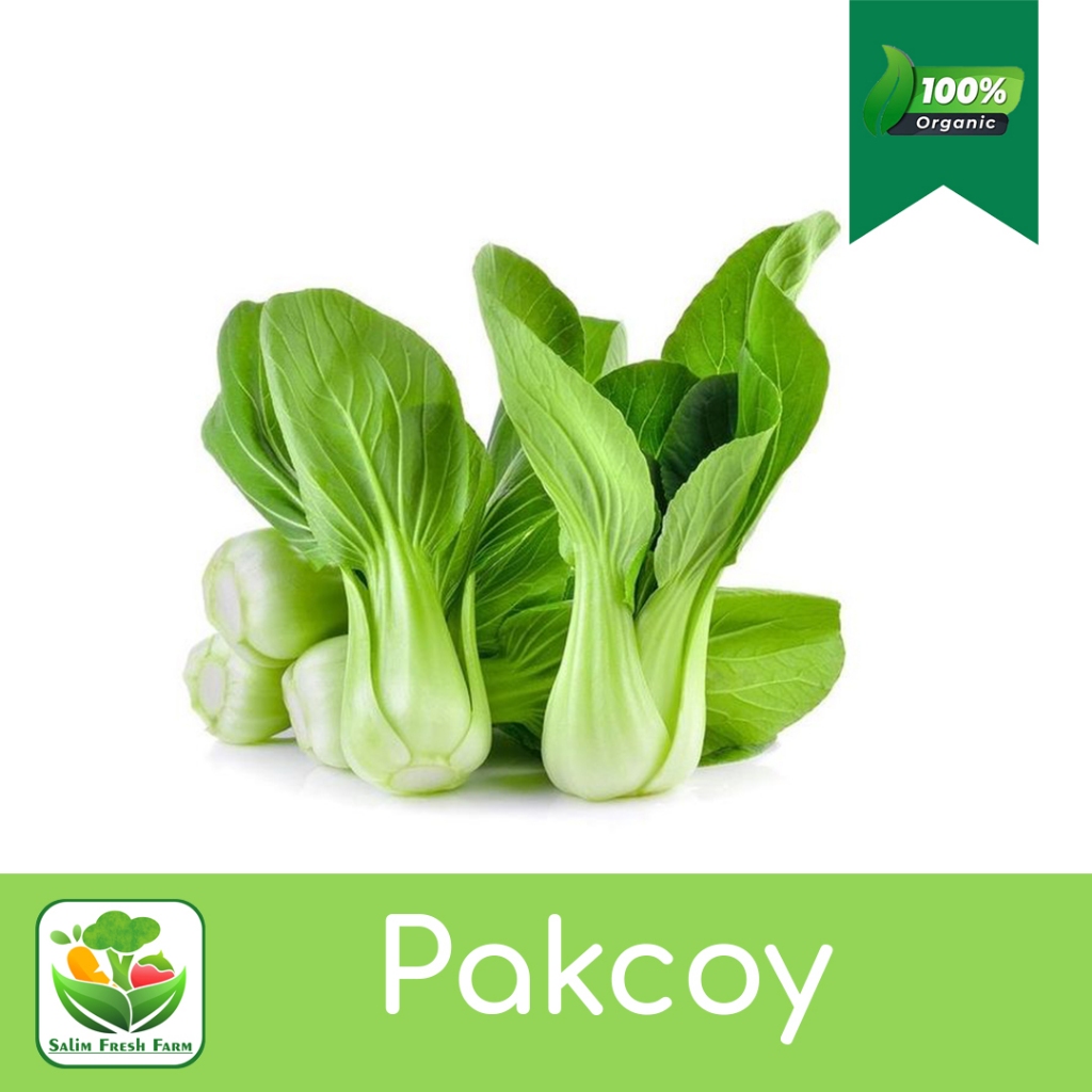 Jual Pakcoy sayur / Pakcoy 1 kg | Shopee Indonesia