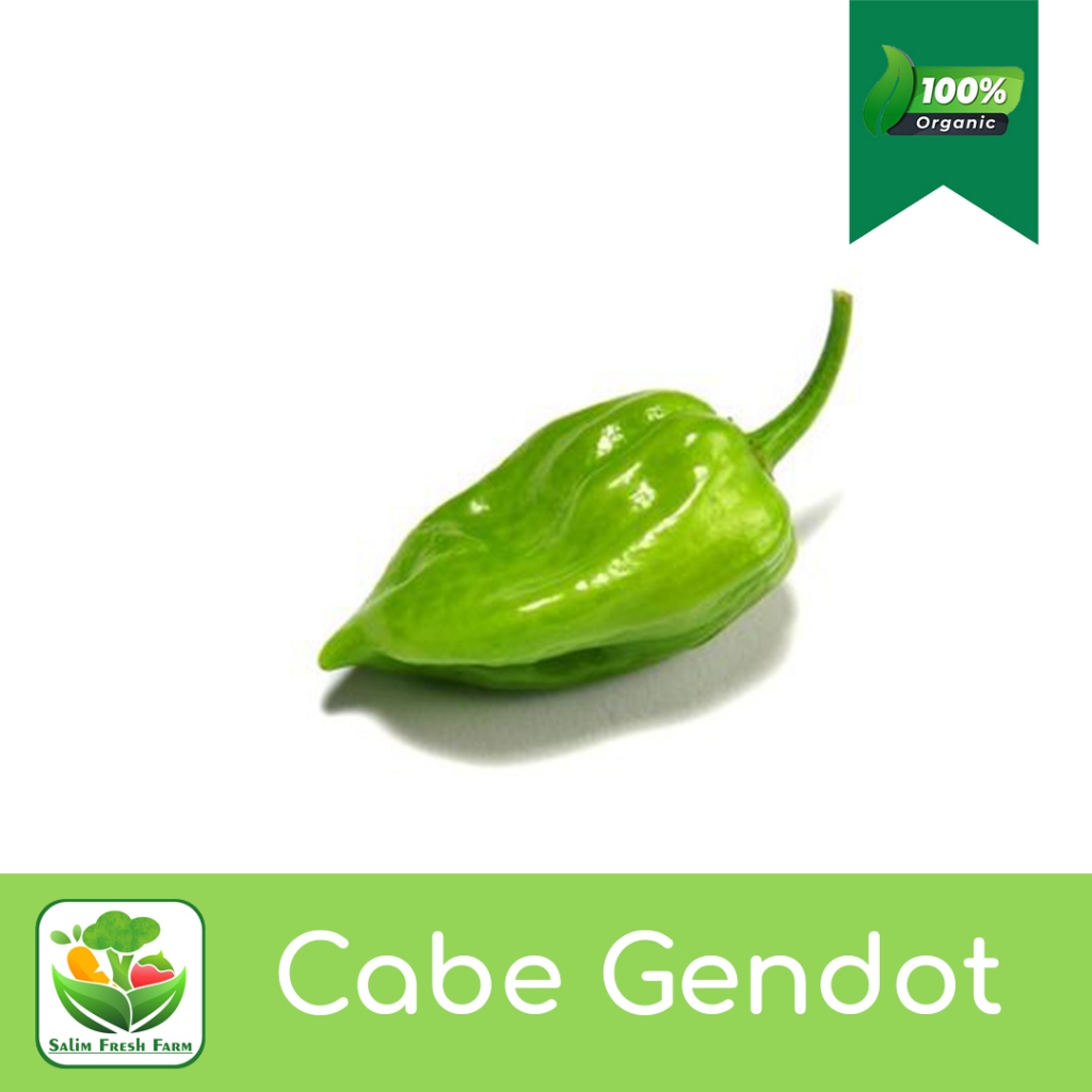 Jual Cabe gendot / Cabe gendot segar bandung / Cabe gendot hijau / Cabe ...