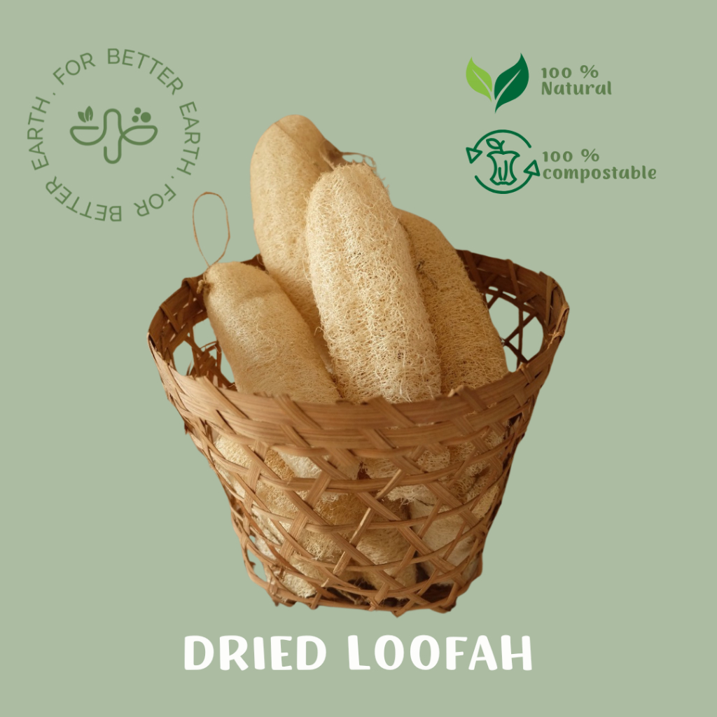 Jual Natural Loofah (Zero Waste / No Plastic Packaging). Natural Loofah ...