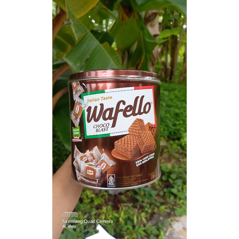 Jual Wafello wafer 234 gr satu karton | Shopee Indonesia