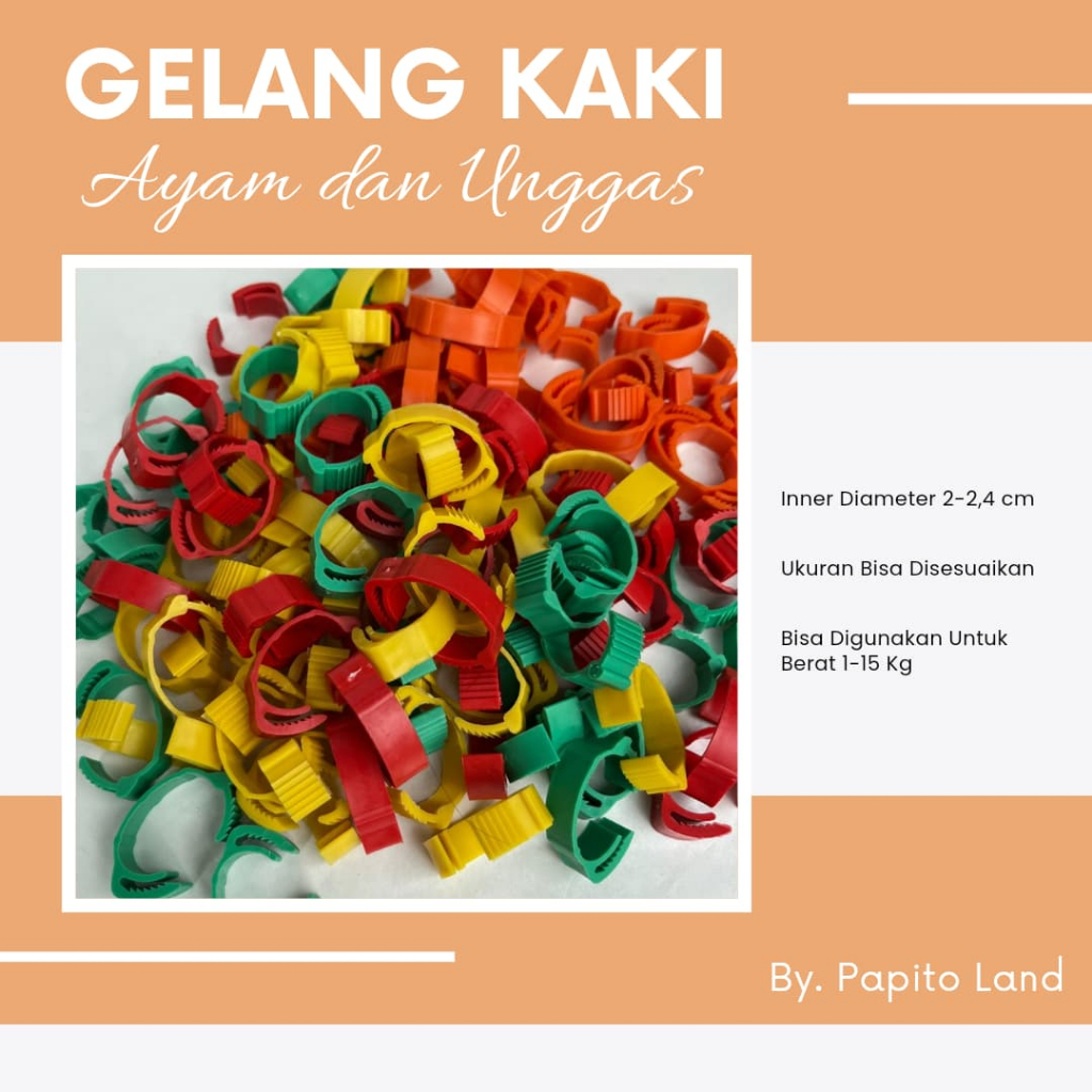 Jual Ring Gelang Kaki Ayam, Bebek, Entok dan Unggas Lainnya. Terdiri ...